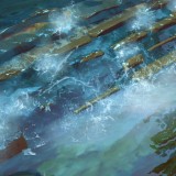 Dota2 - Wandering Waters