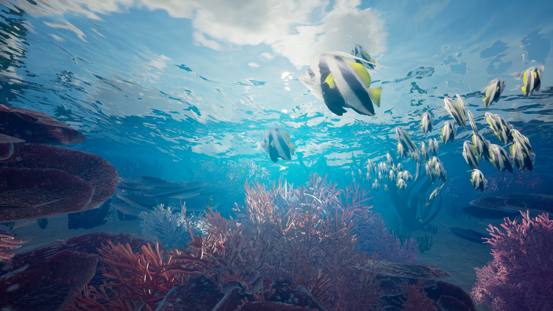 Save 60% on My Island on Steam
