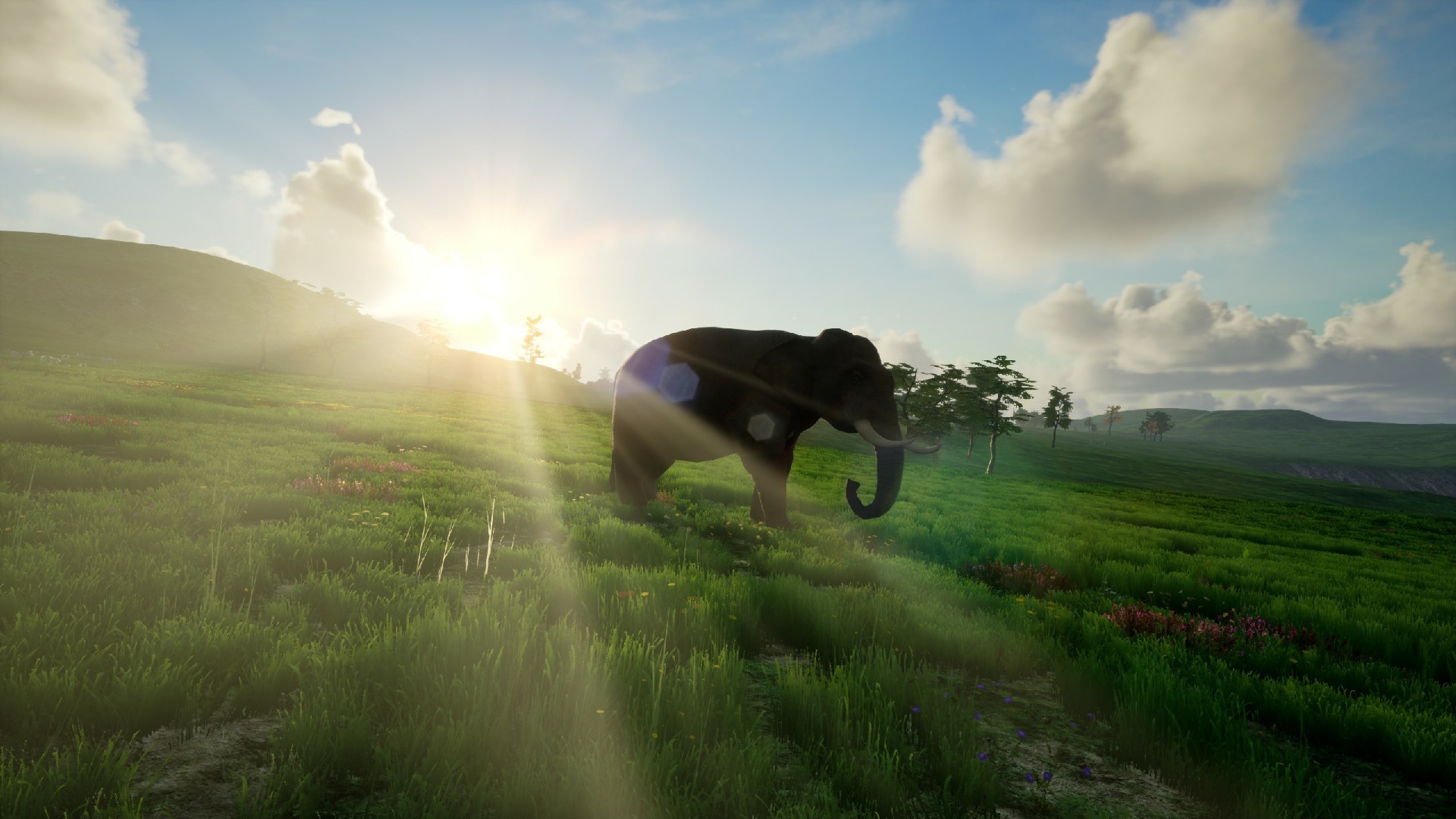 My Island on Steam