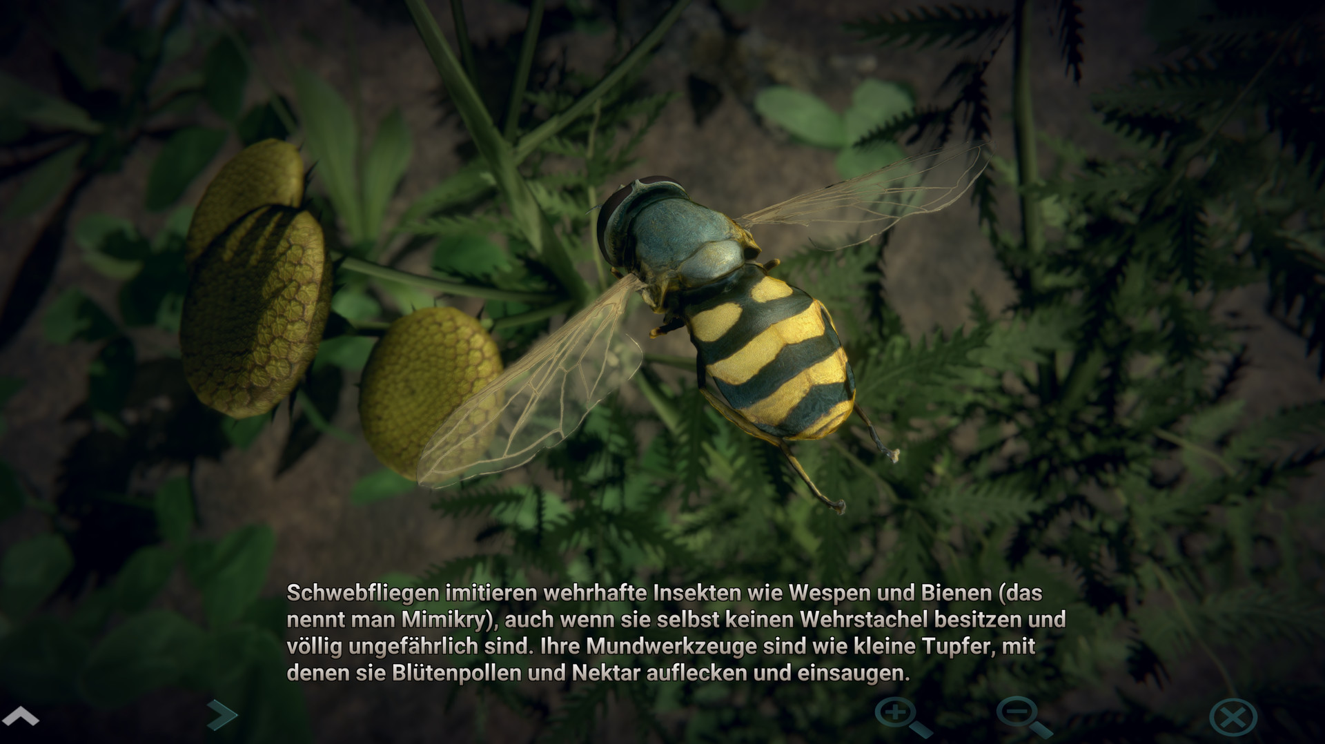 Insect Worlds on Steam