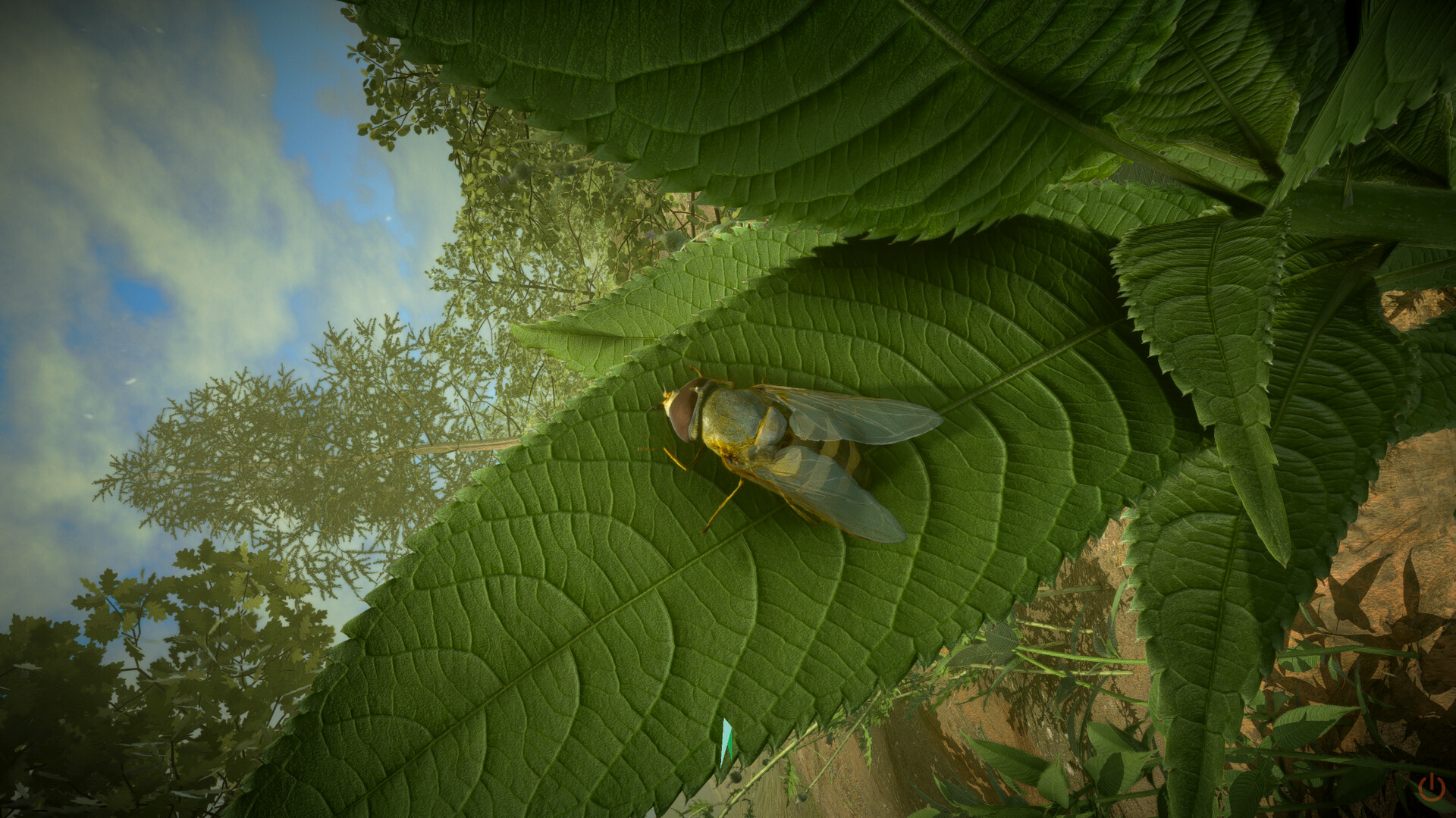 Insect Worlds on Steam