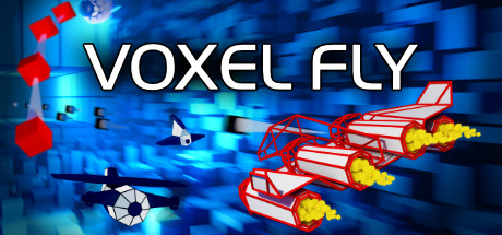 Voxel Fly on Steam