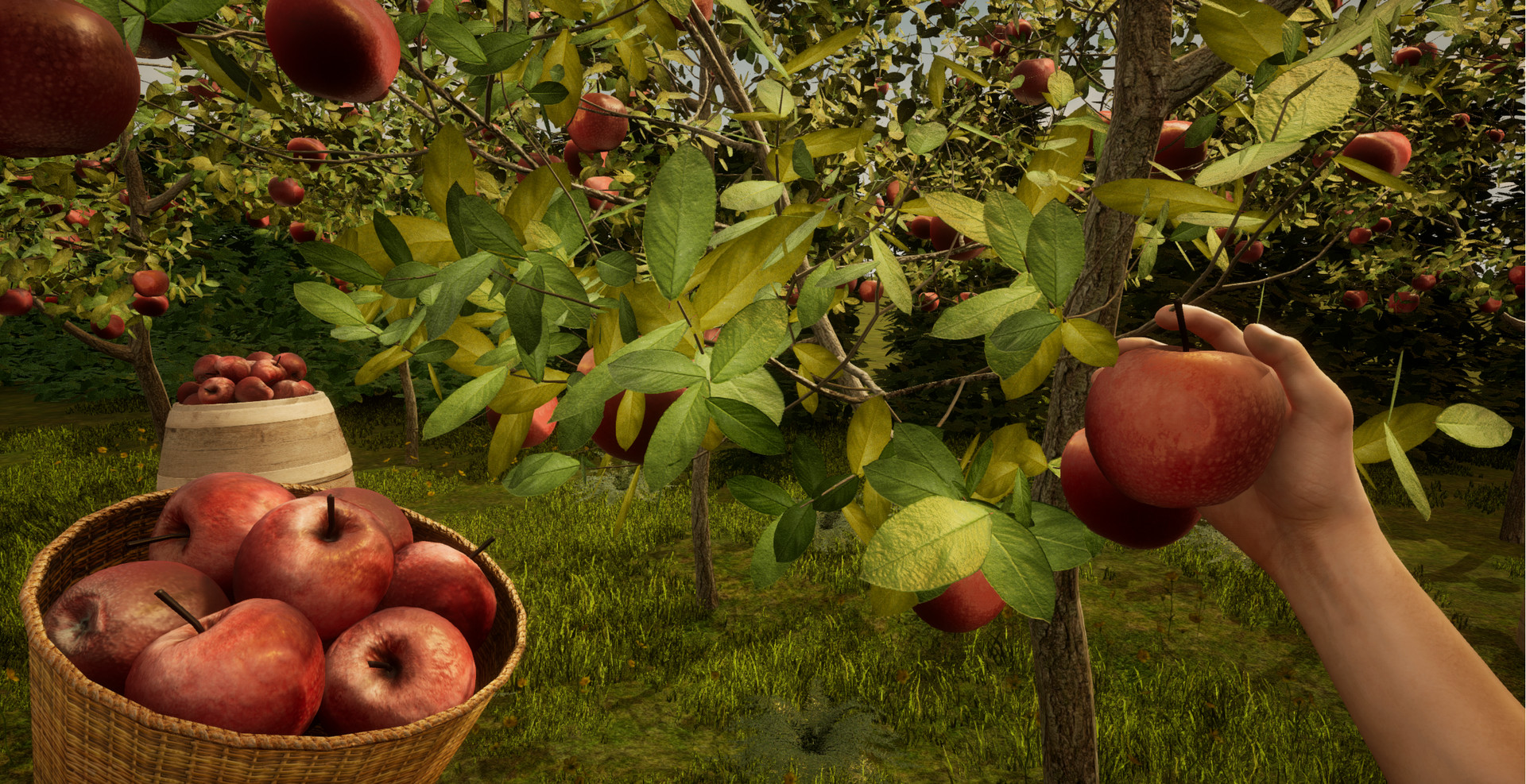 Orchard Simulator on Steam