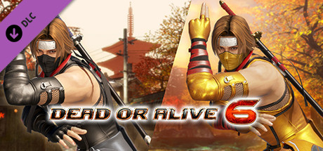 DOA6 Morphing Ninja Costume - Hayate on Steam
