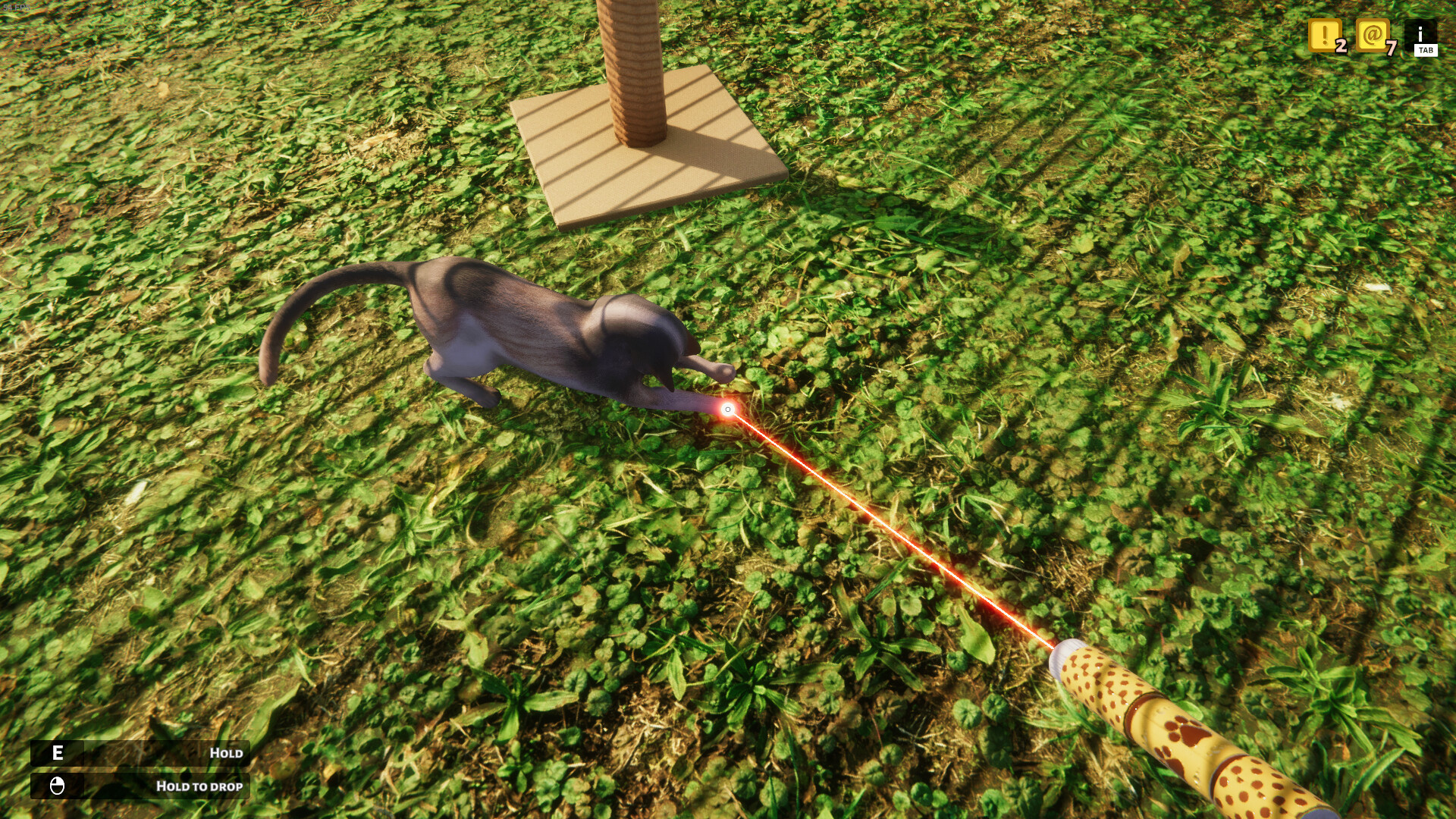 Steam：Animal Shelter