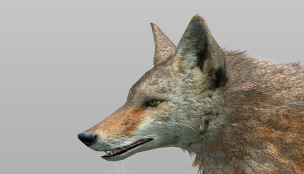 Subdivided - Steam News Hub