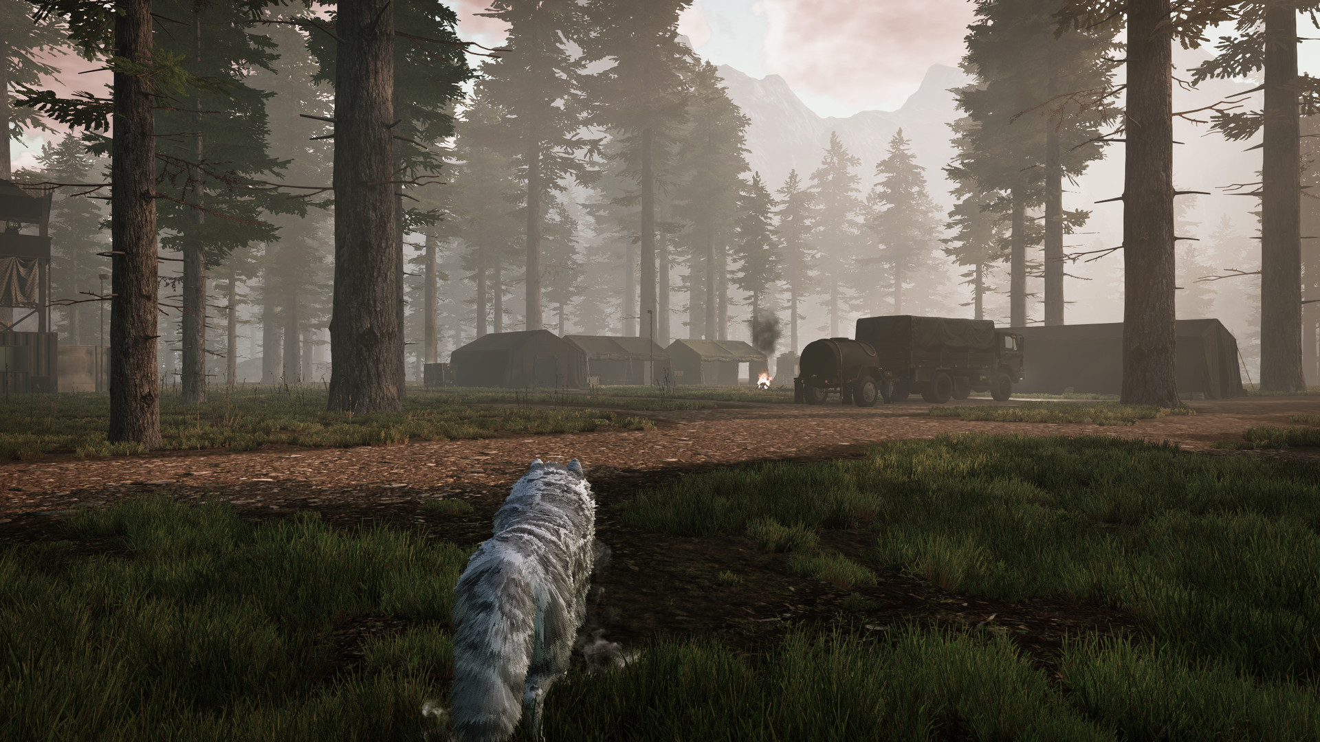 Tale Of A Wolf on Steam