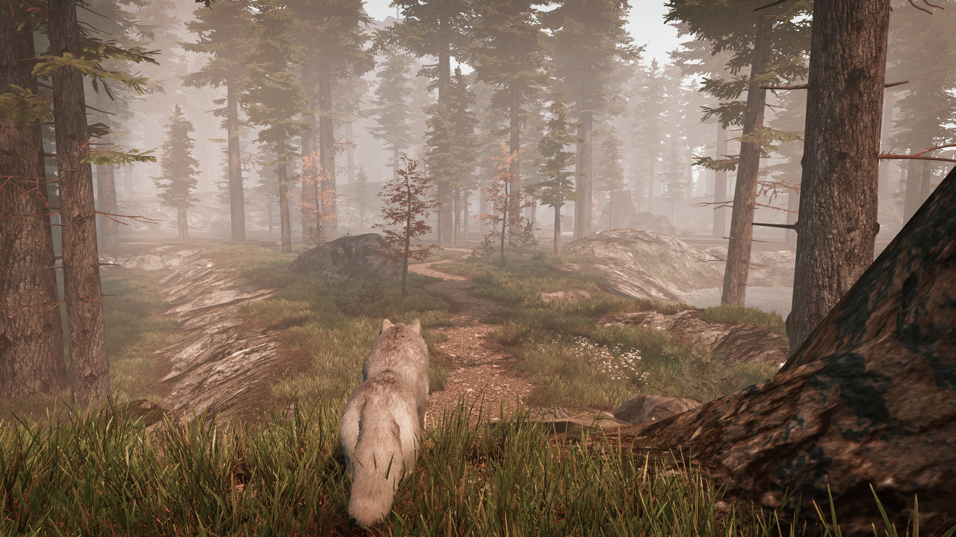 Tale Of A Wolf on Steam