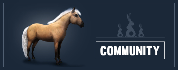 Zoo World VR on Steam