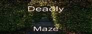 Deadly Maze - 1.02 - Steam News