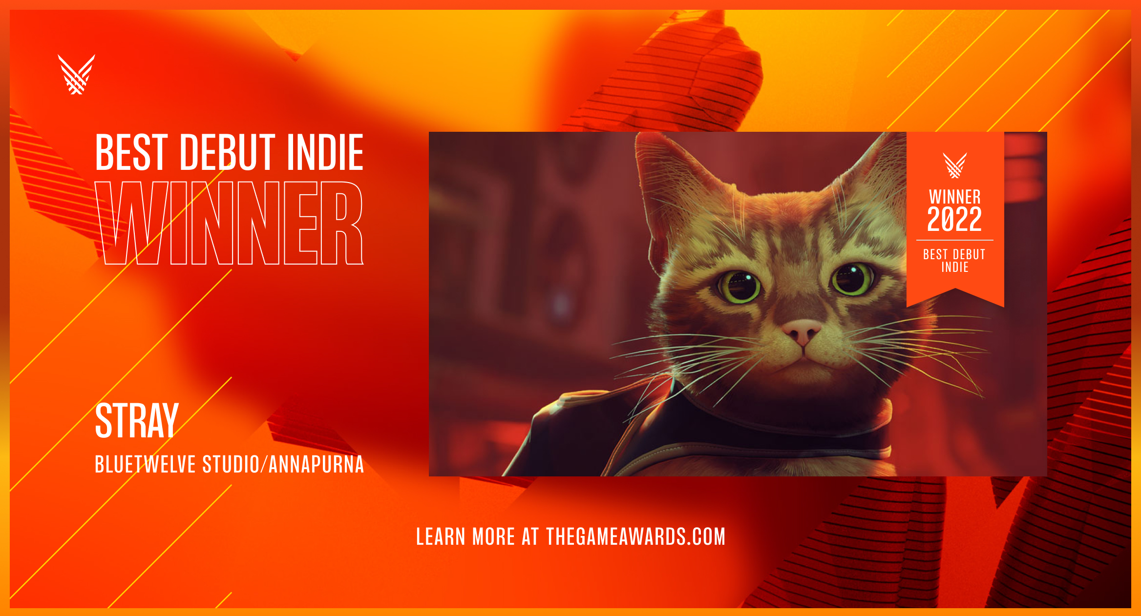 Steam：Stray