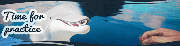 Dolphin Trainer VR on Steam