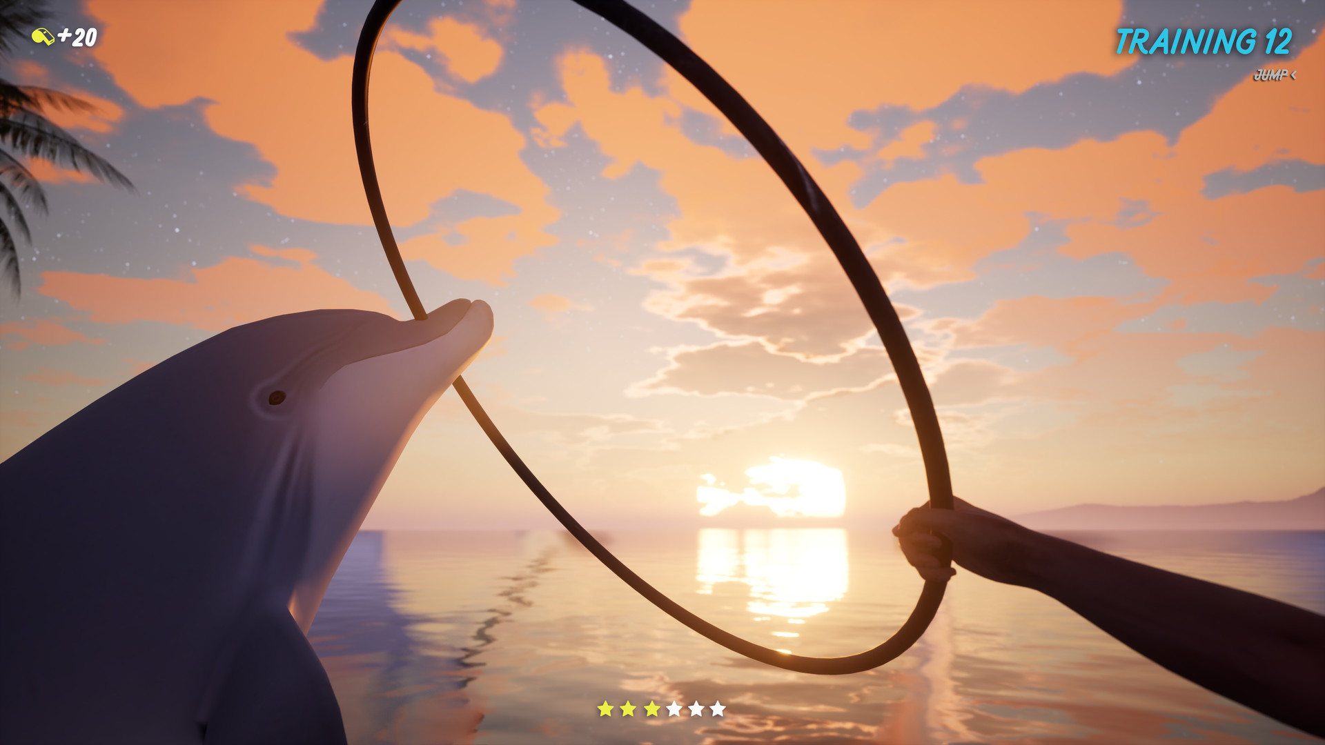 Dolphin Trainer VR on Steam