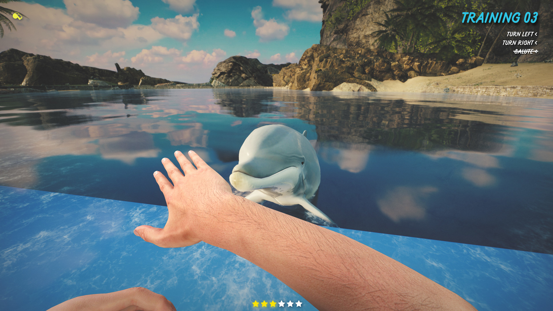 Dolphin Trainer VR on Steam