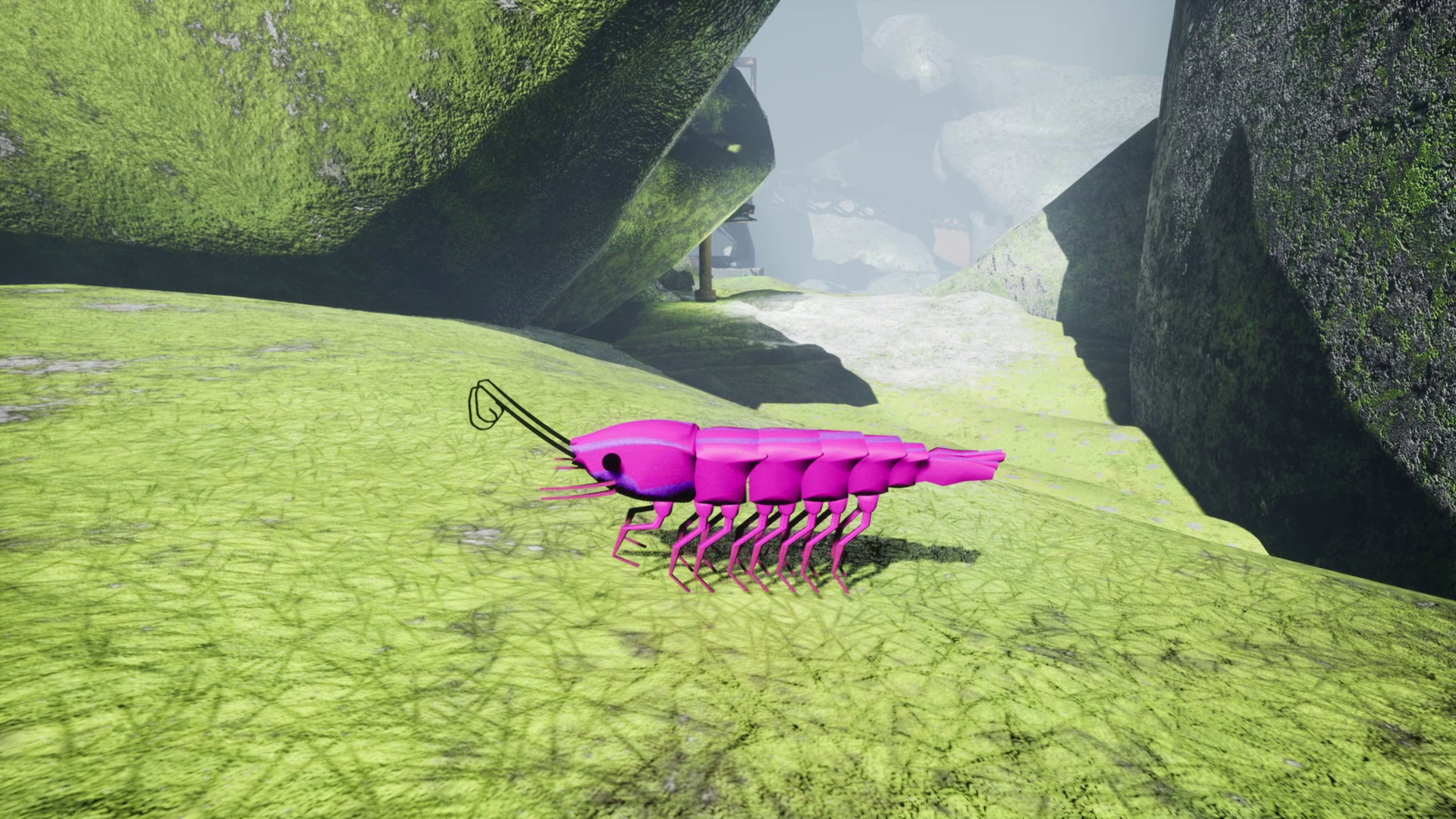 S H R i M P on Steam