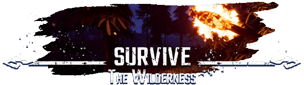 Winter Survival on Steam
