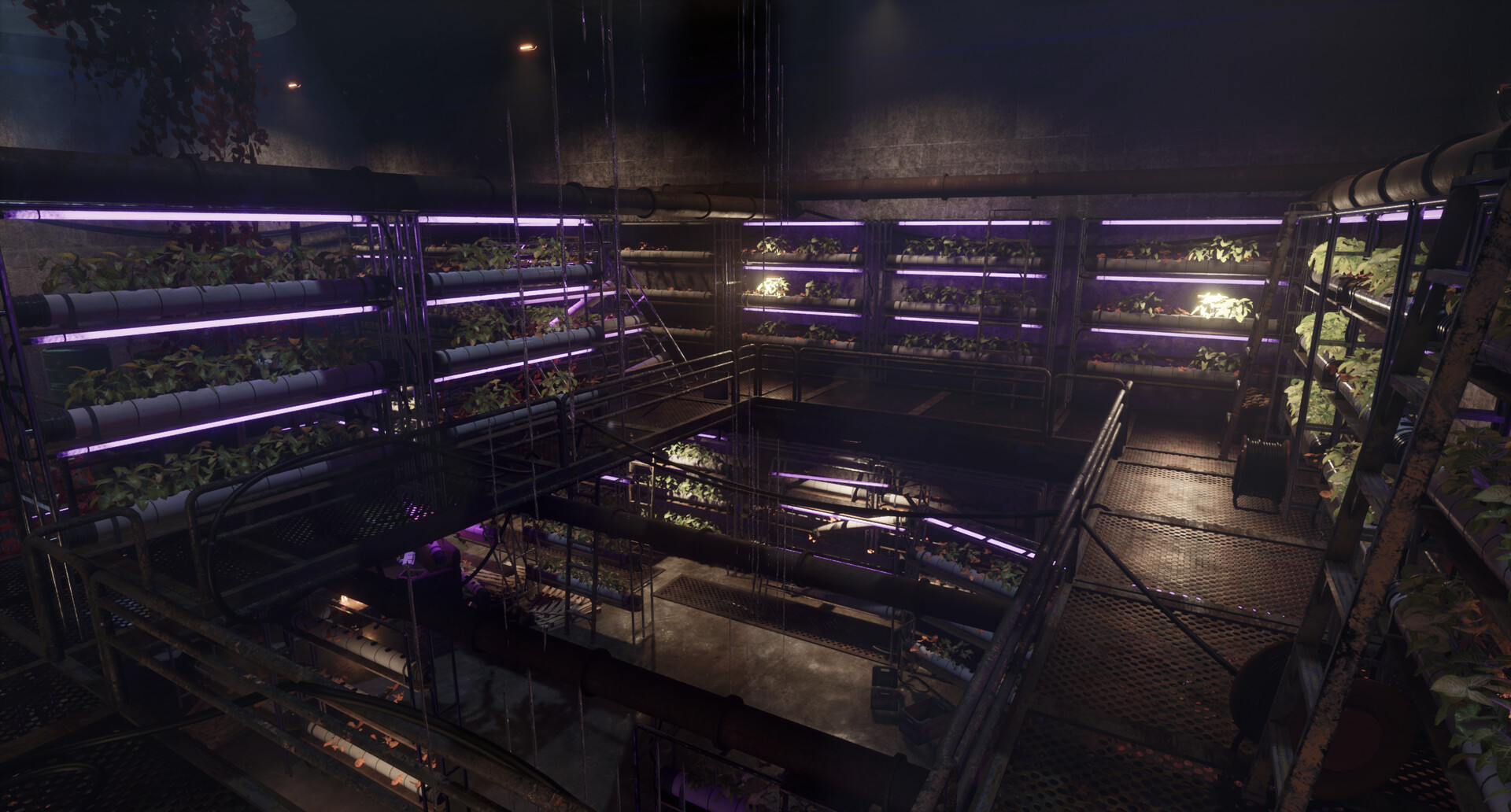 Into The Light on Steam