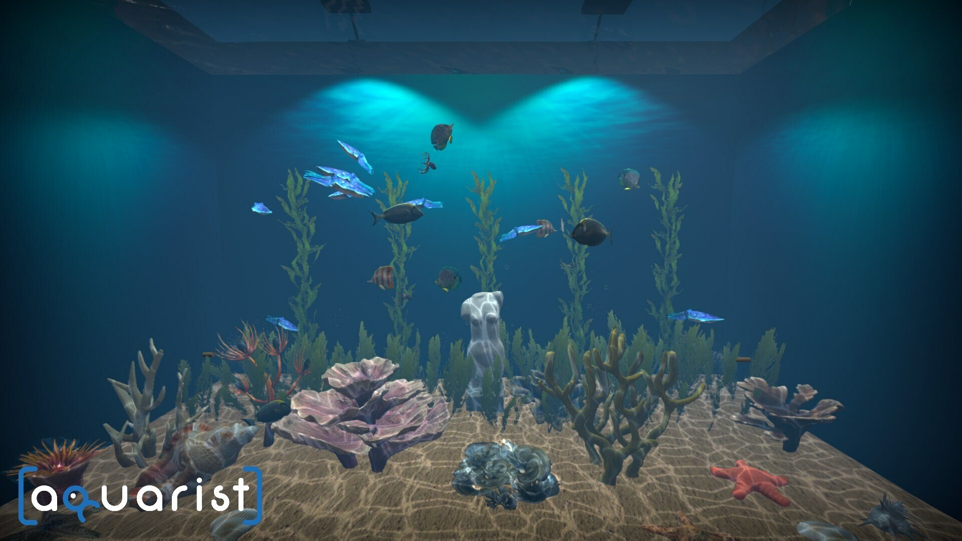 Aquarist on Steam