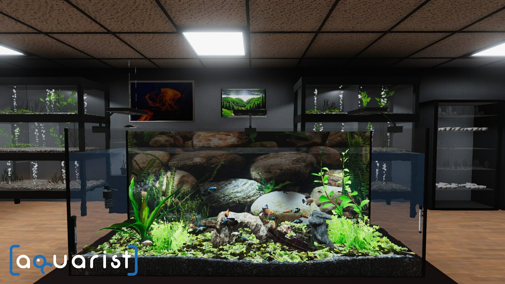 Aquarist on Steam