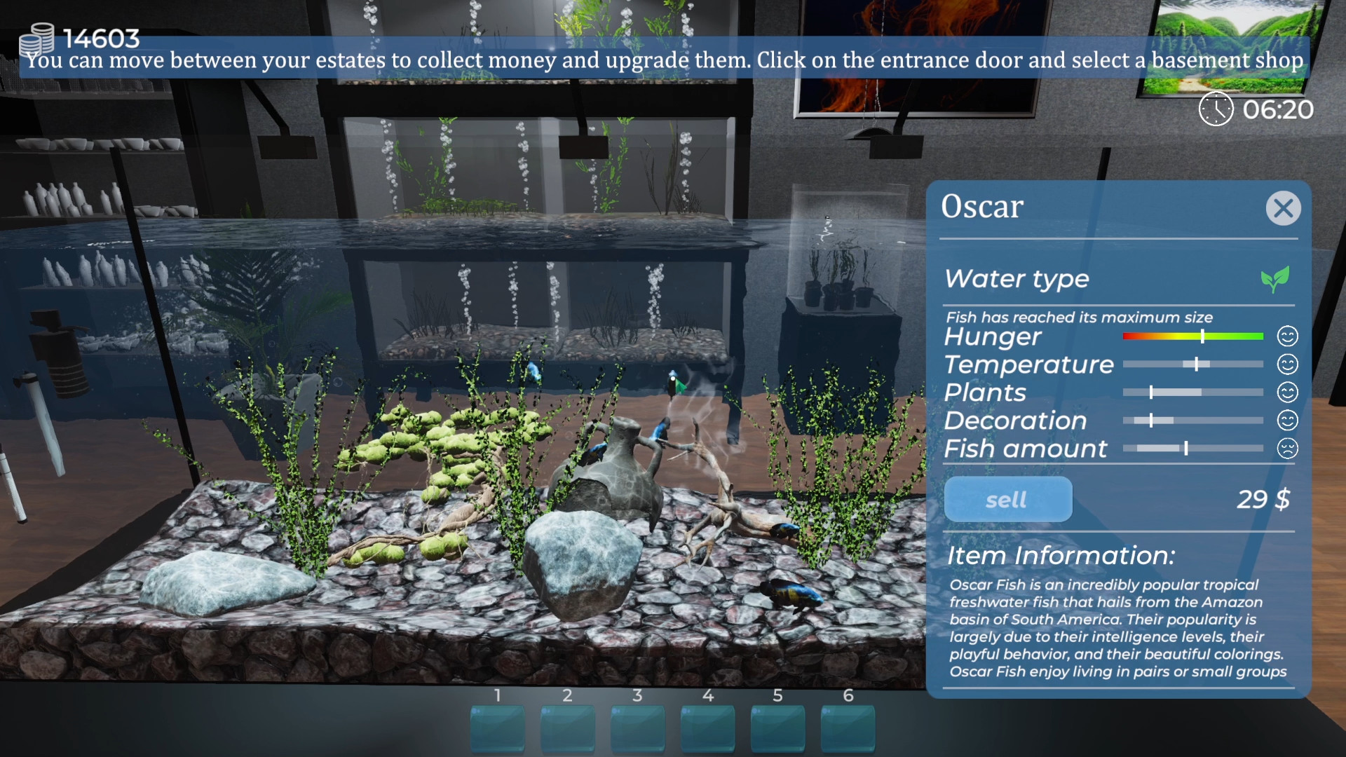 Aquarist on Steam