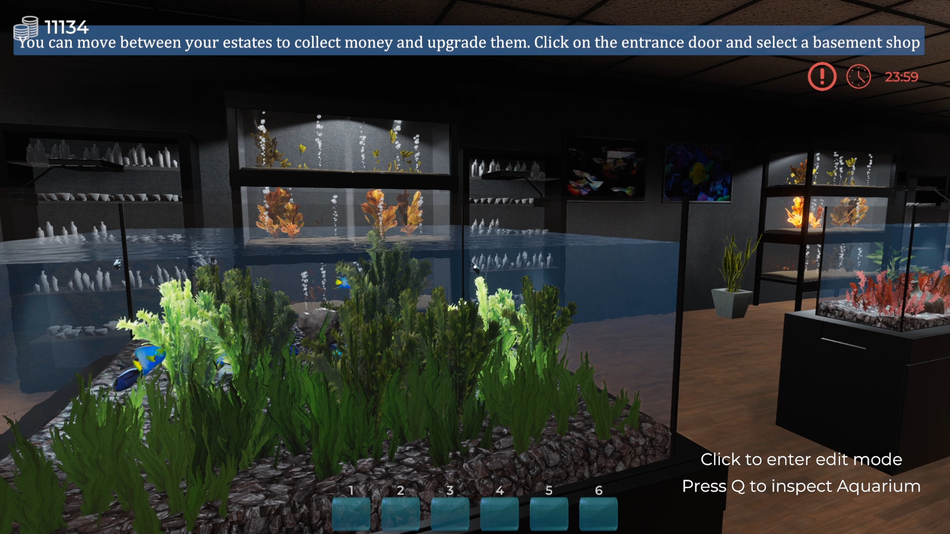 Aquarist on Steam