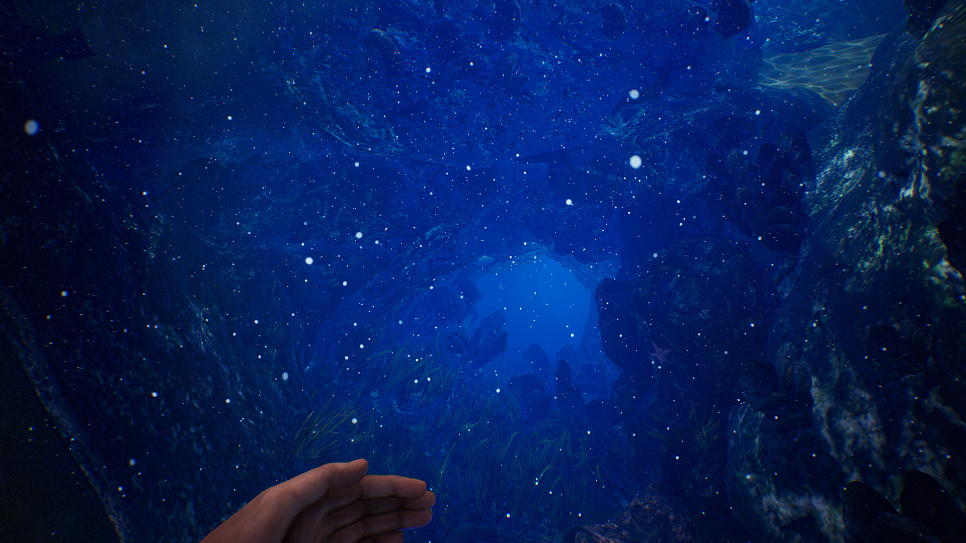 The Deep - Keymailer