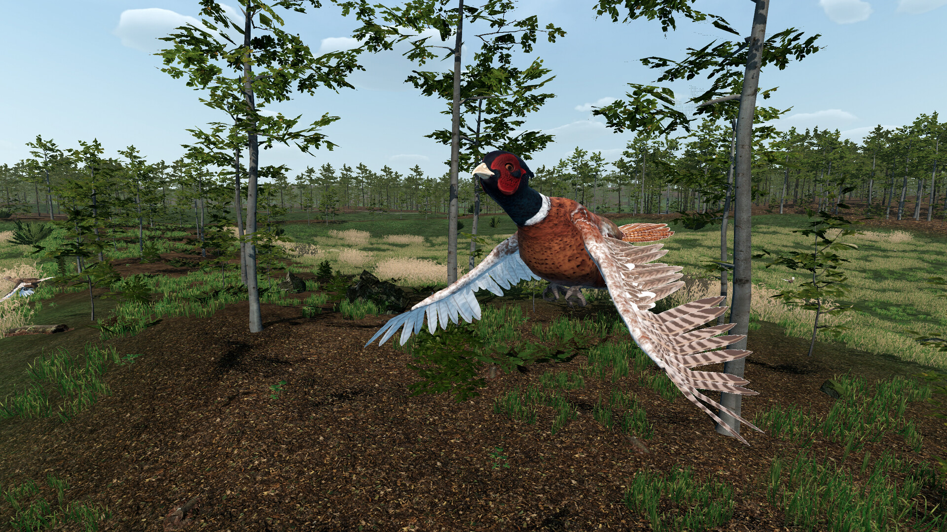 Track Hunt Big Trophy Animals In This VR Hunting Simulator, 46% OFF
