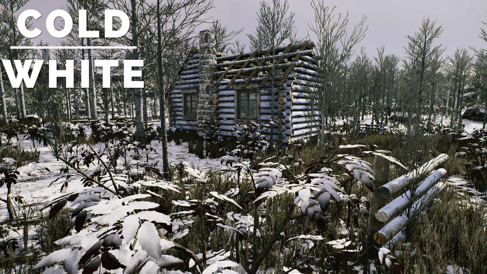 The Cold White on Steam