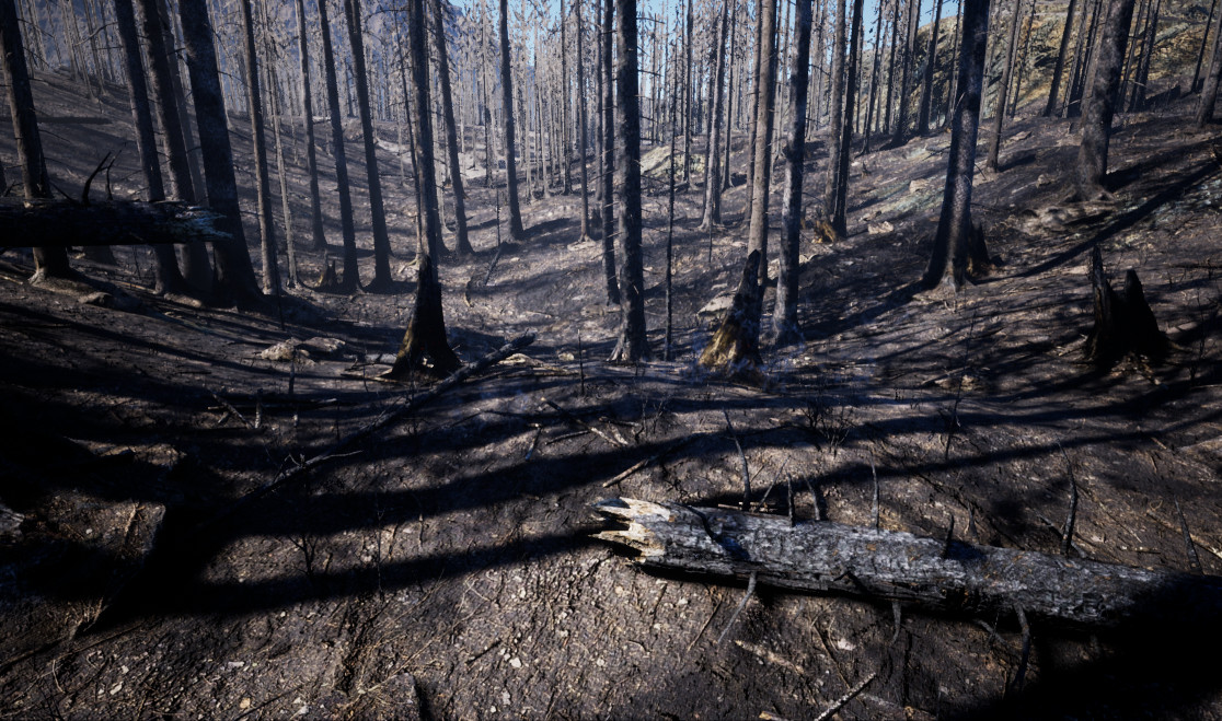 Medieval Apocalypse on Steam