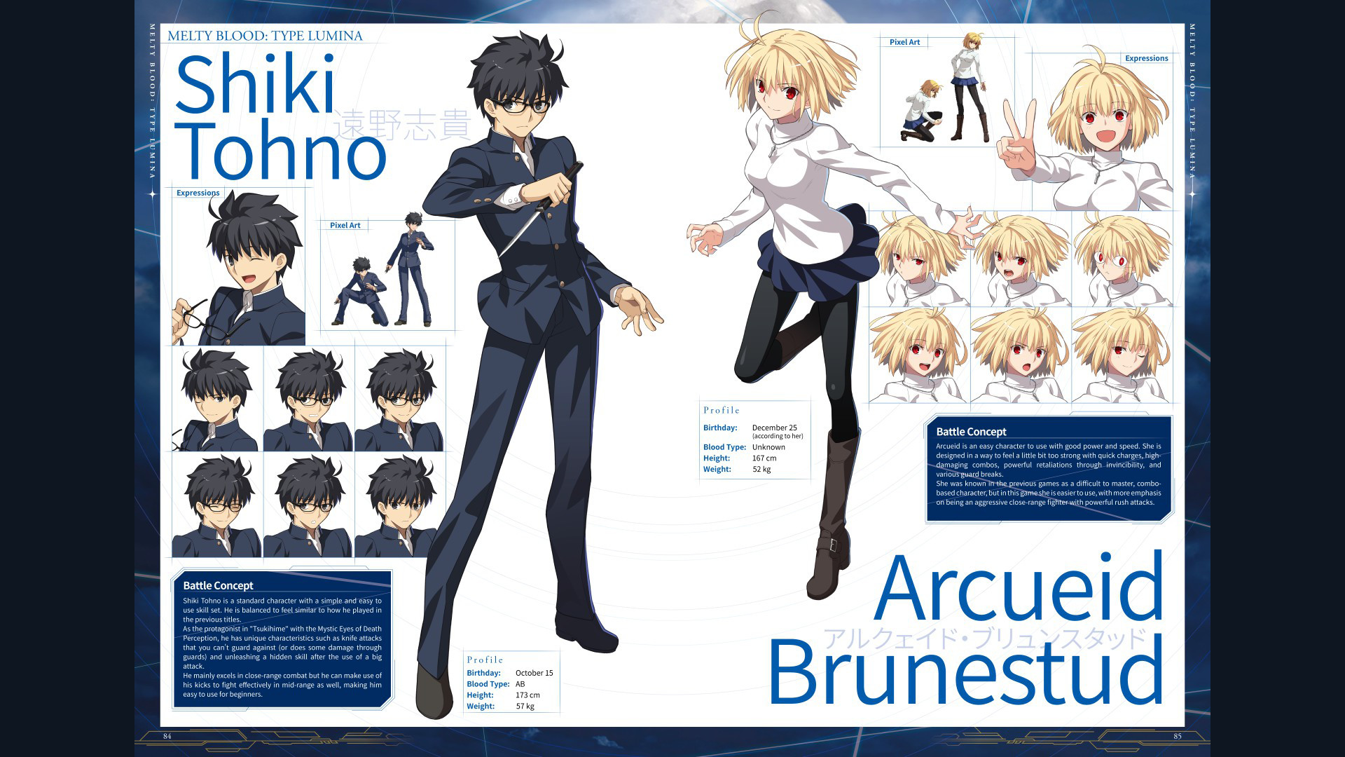 MELTY BLOOD ARCHIVES on Steam