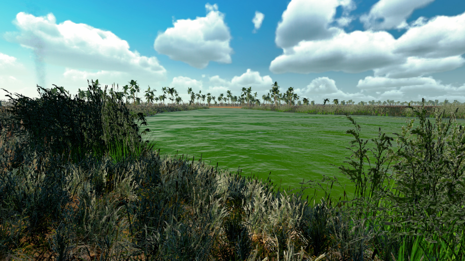 African Safari on Steam