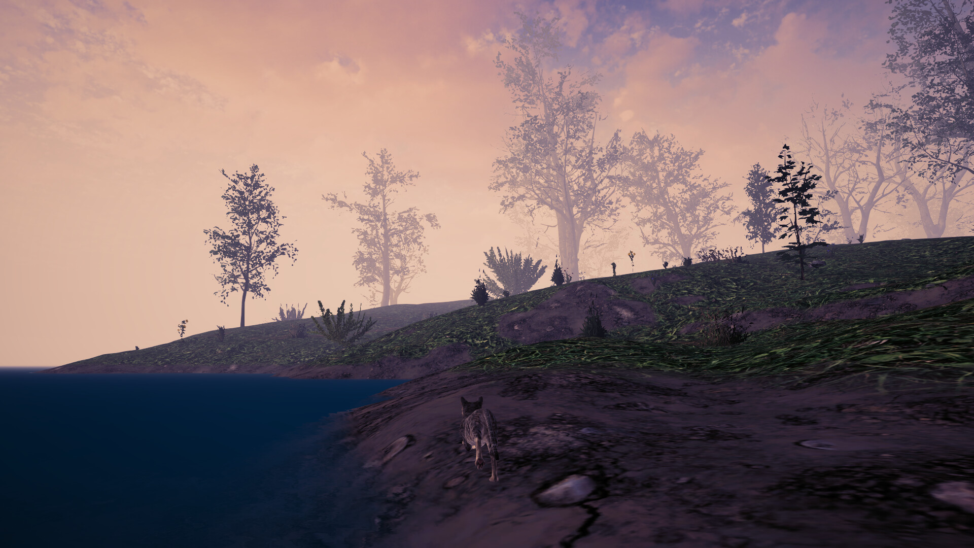 Catsploration on Steam