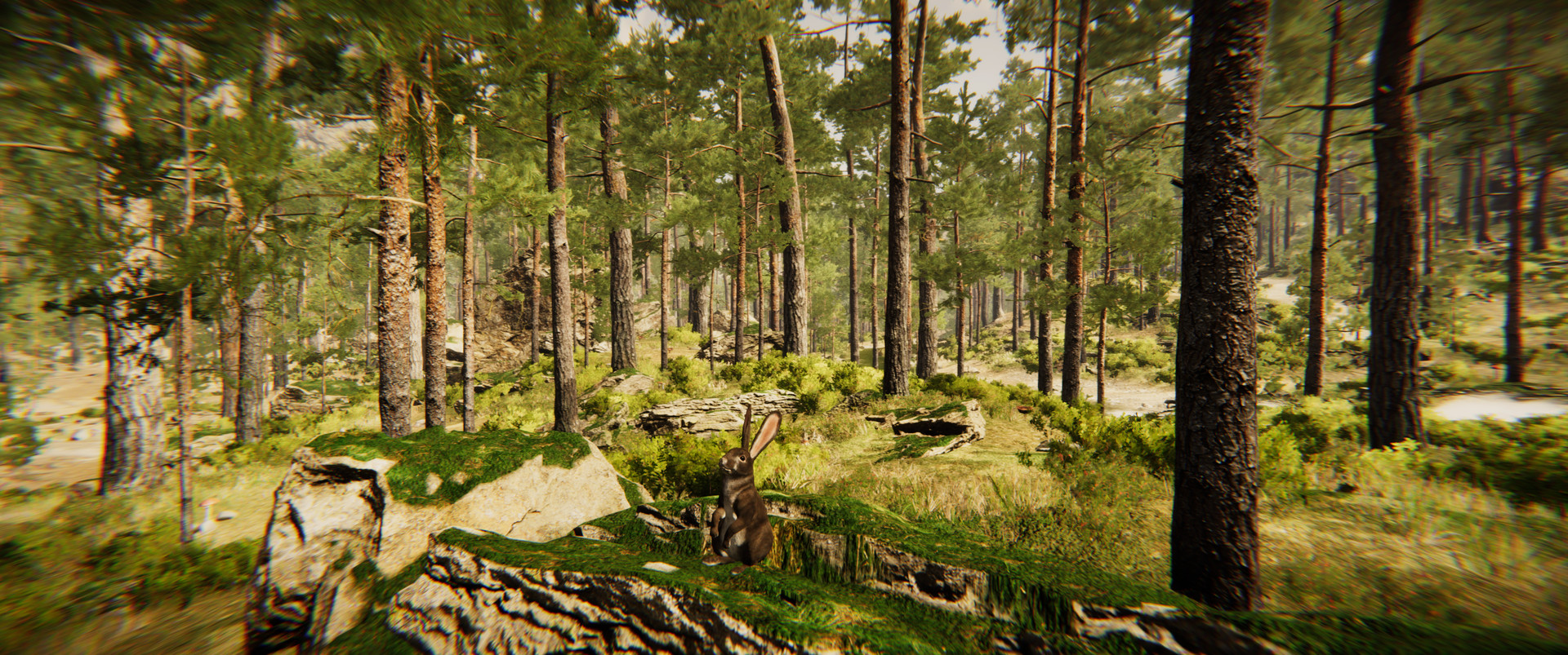 Animal Simulator on Steam