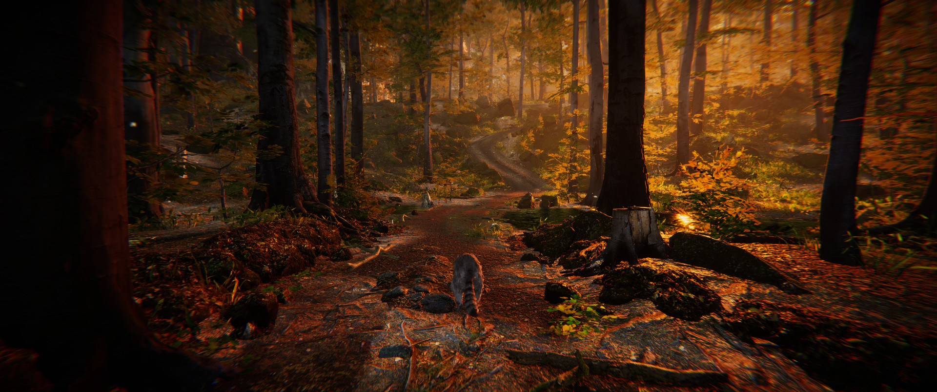 Animal Simulator on Steam