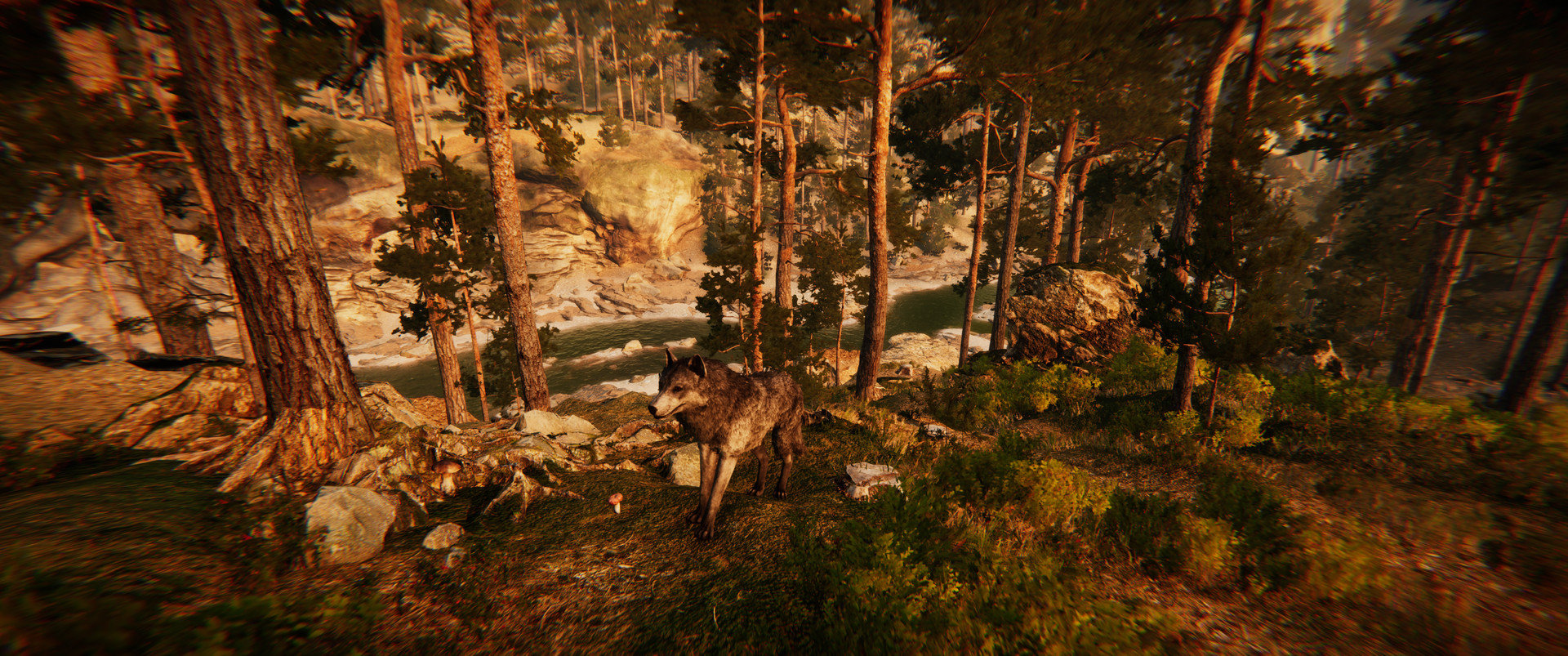 Animal Simulator on Steam