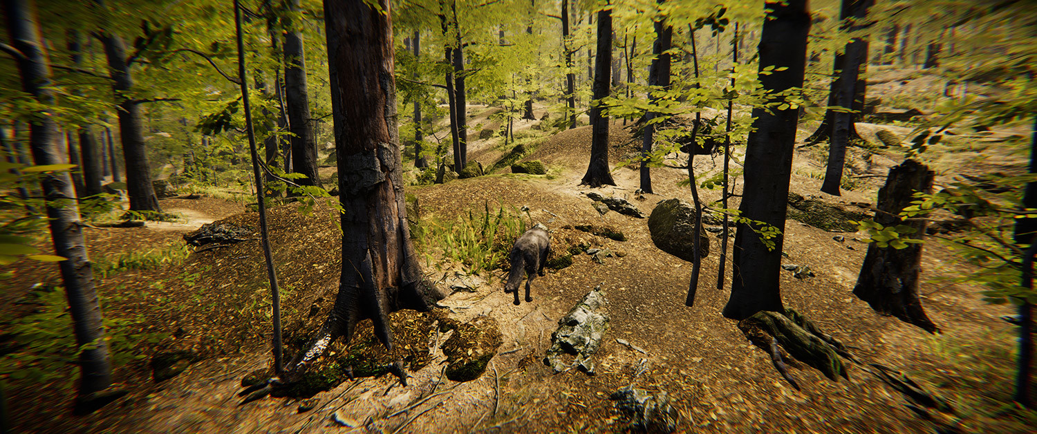 Animal Simulator on Steam