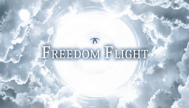 Freedom Flight on Steam