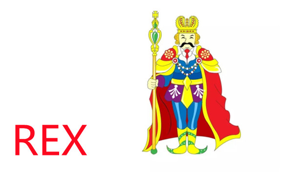 REX - Steam News Hub