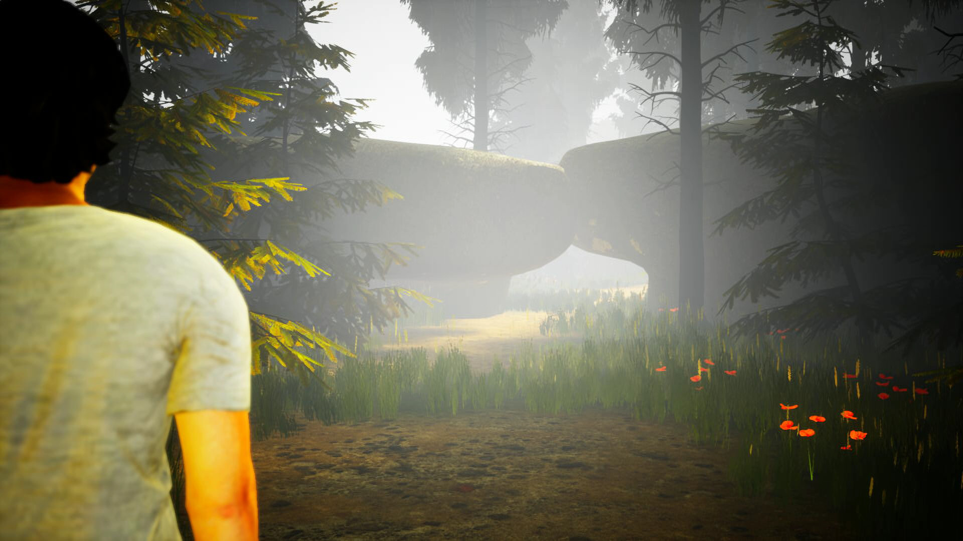 The Ecdysis on Steam