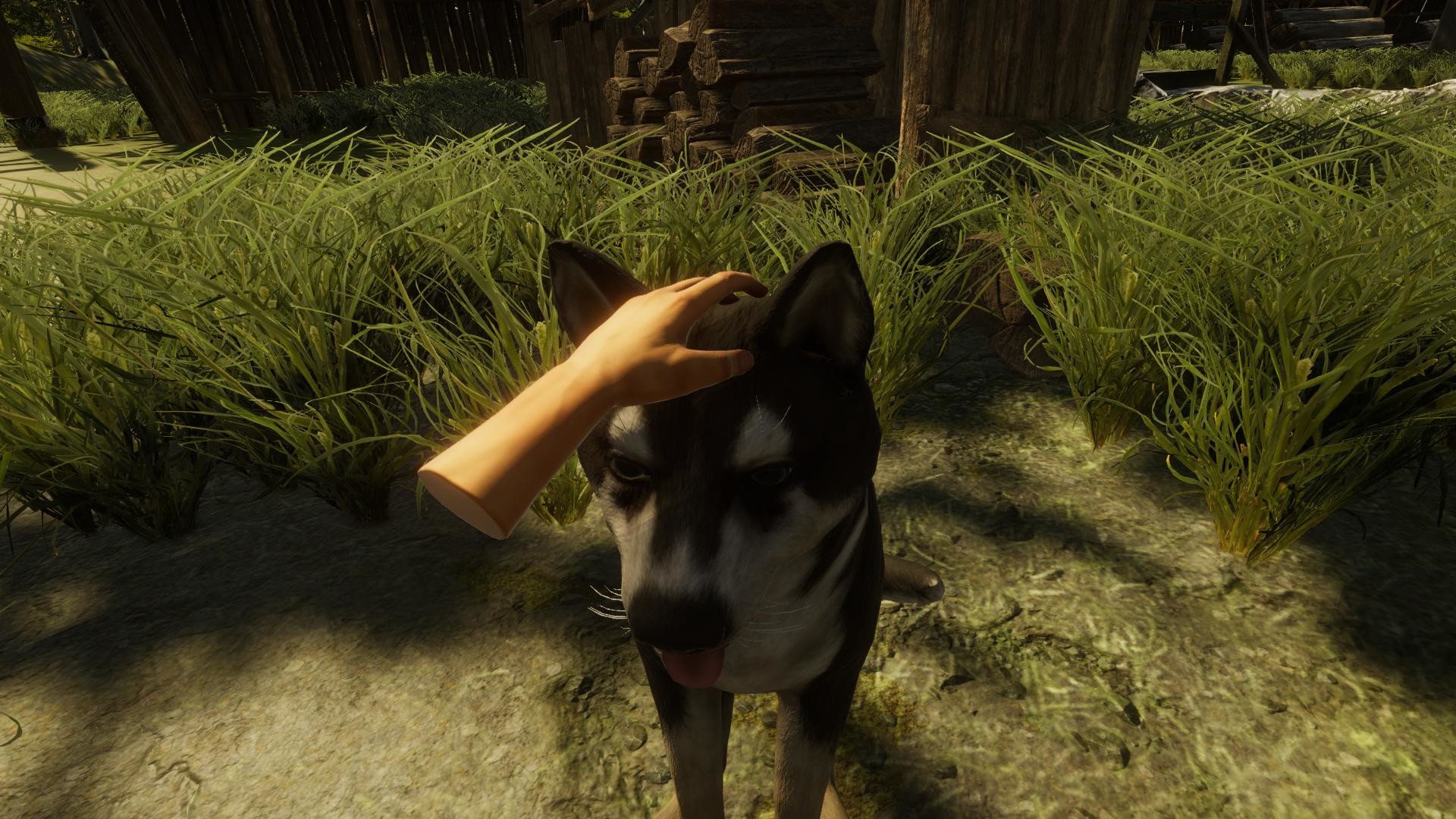 Premortal VR on Steam