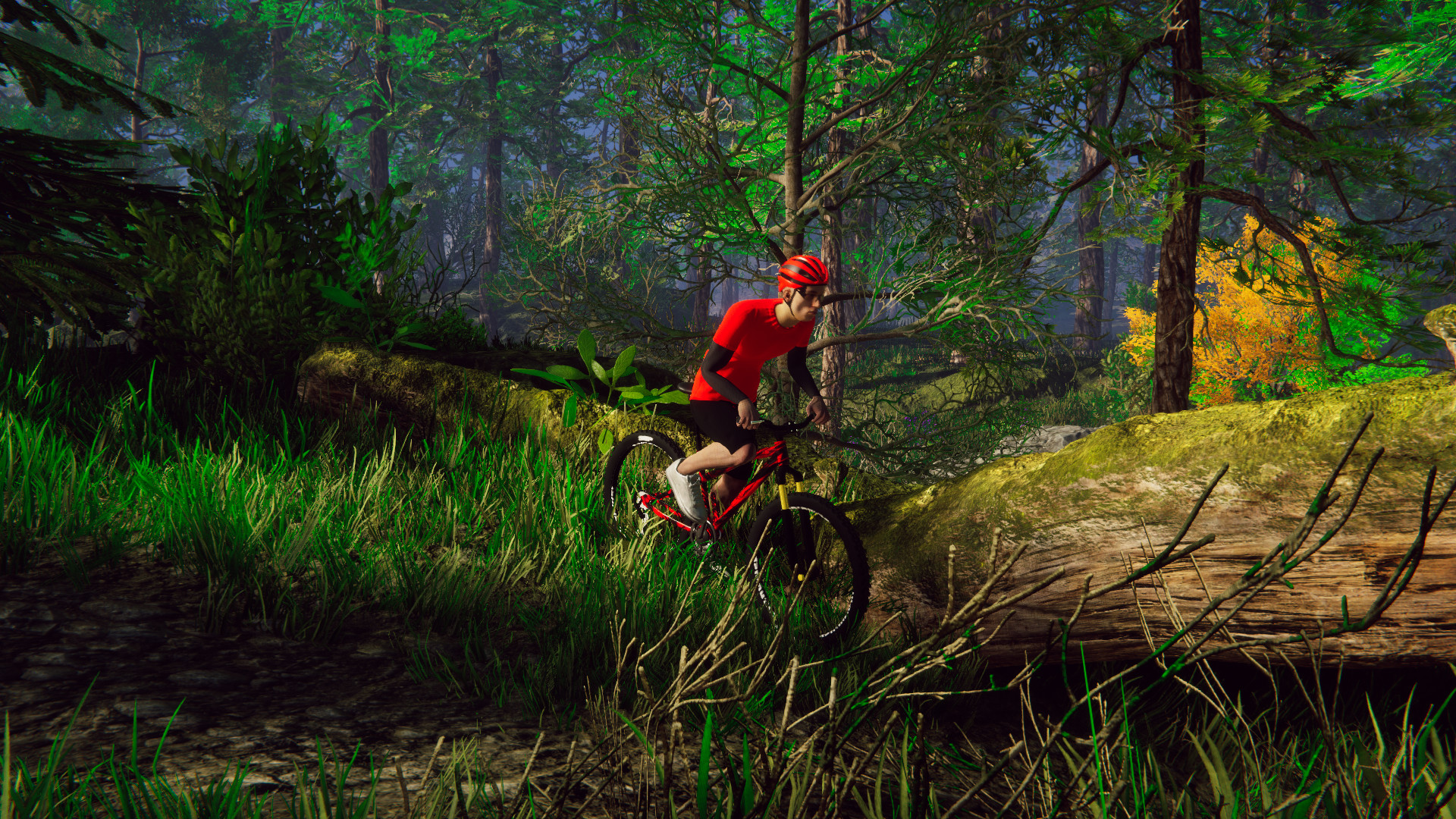 Bicycle Rider Simulator · 스팀