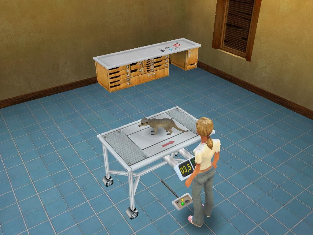Pet Vet 3D Wild Animal Hospital on Steam
