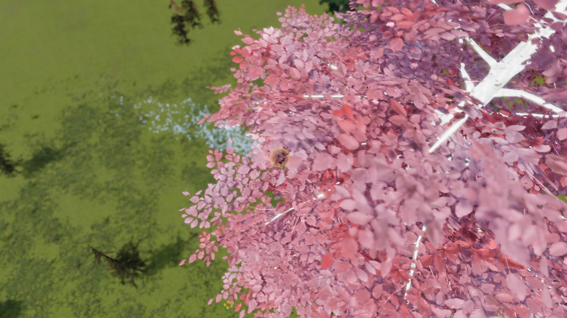 The Ball Flow - Nature and Light on Steam