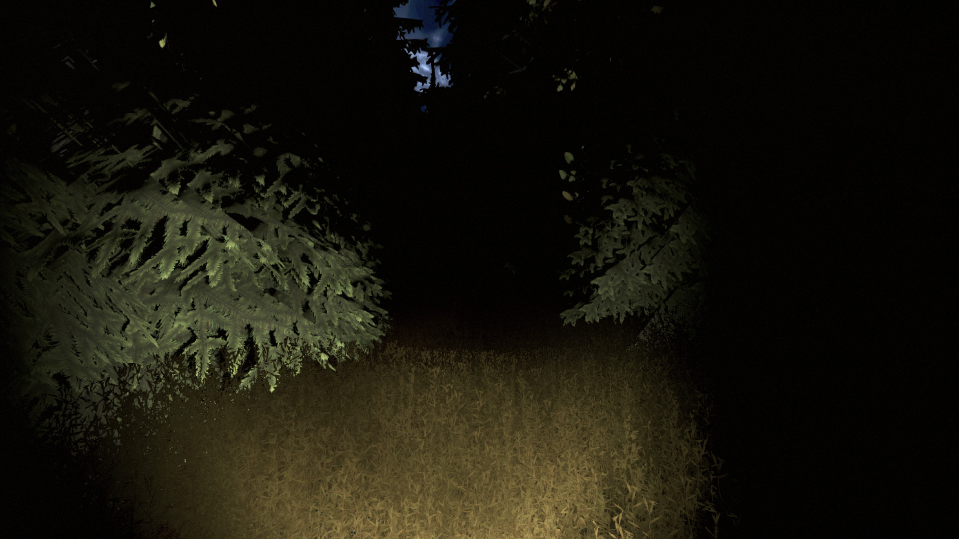 Sciophobia: The Fear of Shadows on Steam