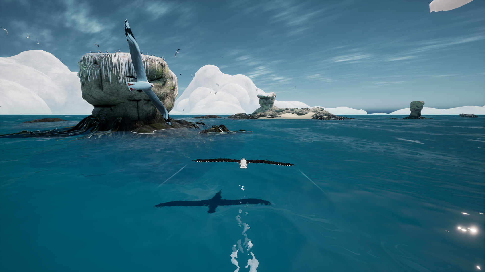 Toroa: Skycall on Steam