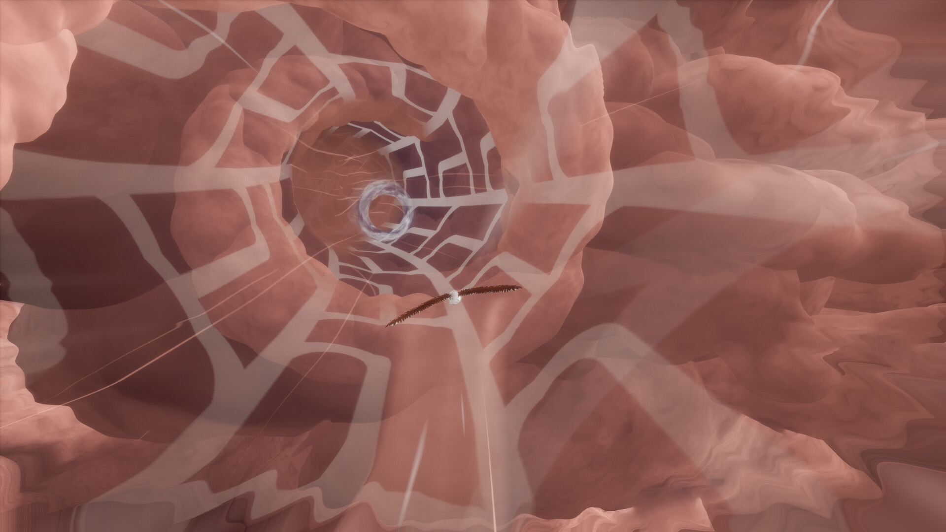 Toroa: Skycall on Steam