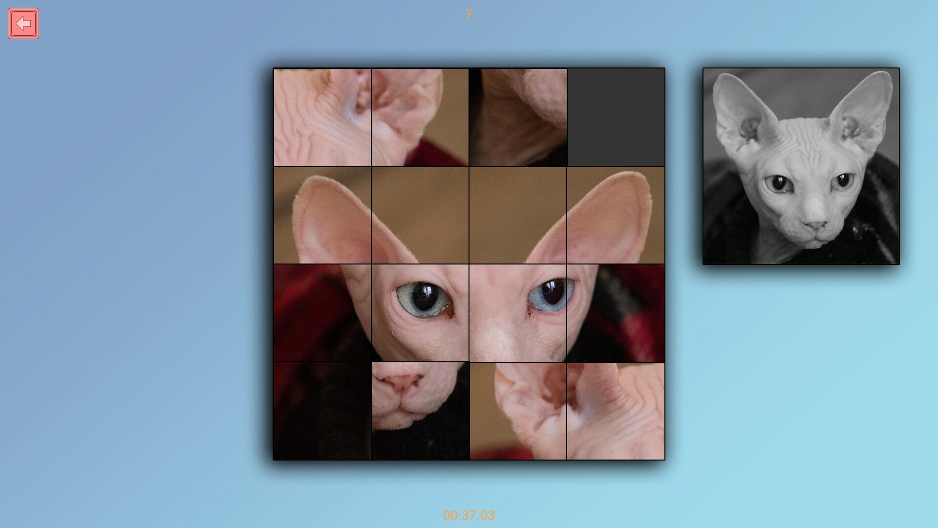 TitTok Kitty on Steam