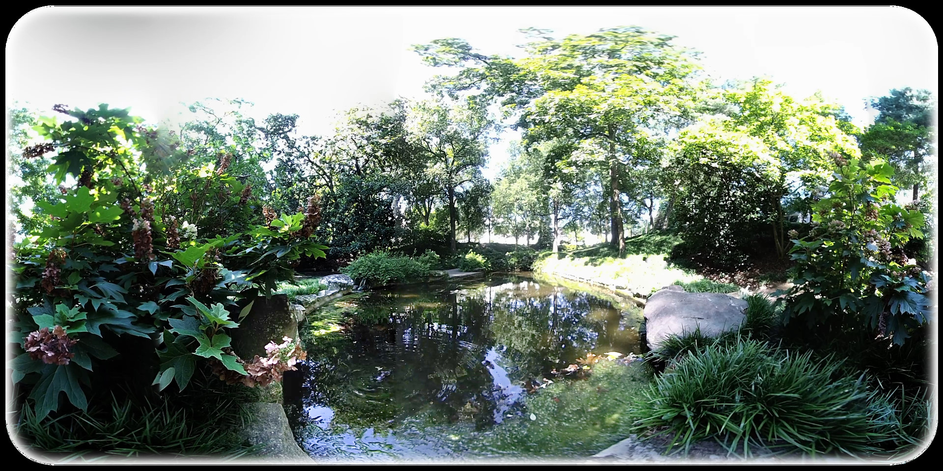 Exhale XR - Critter Watch on Steam