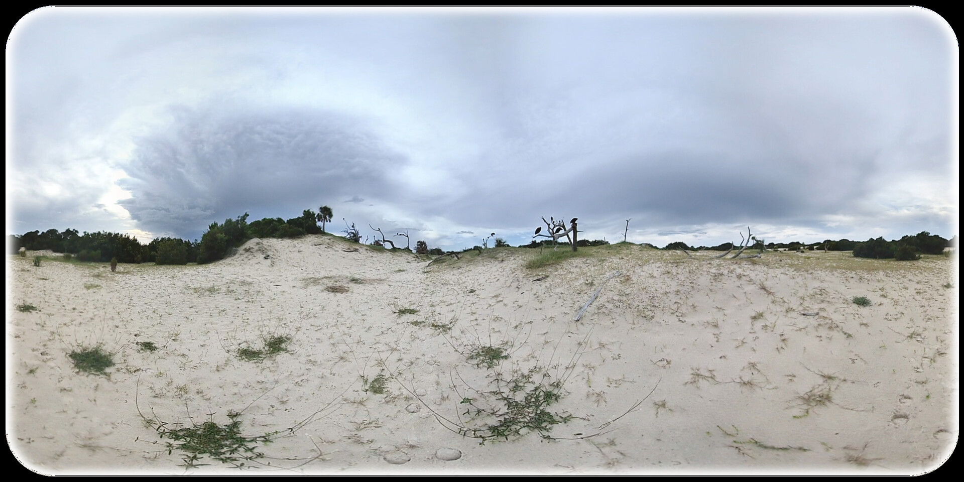 Exhale XR - Wildlife on Steam