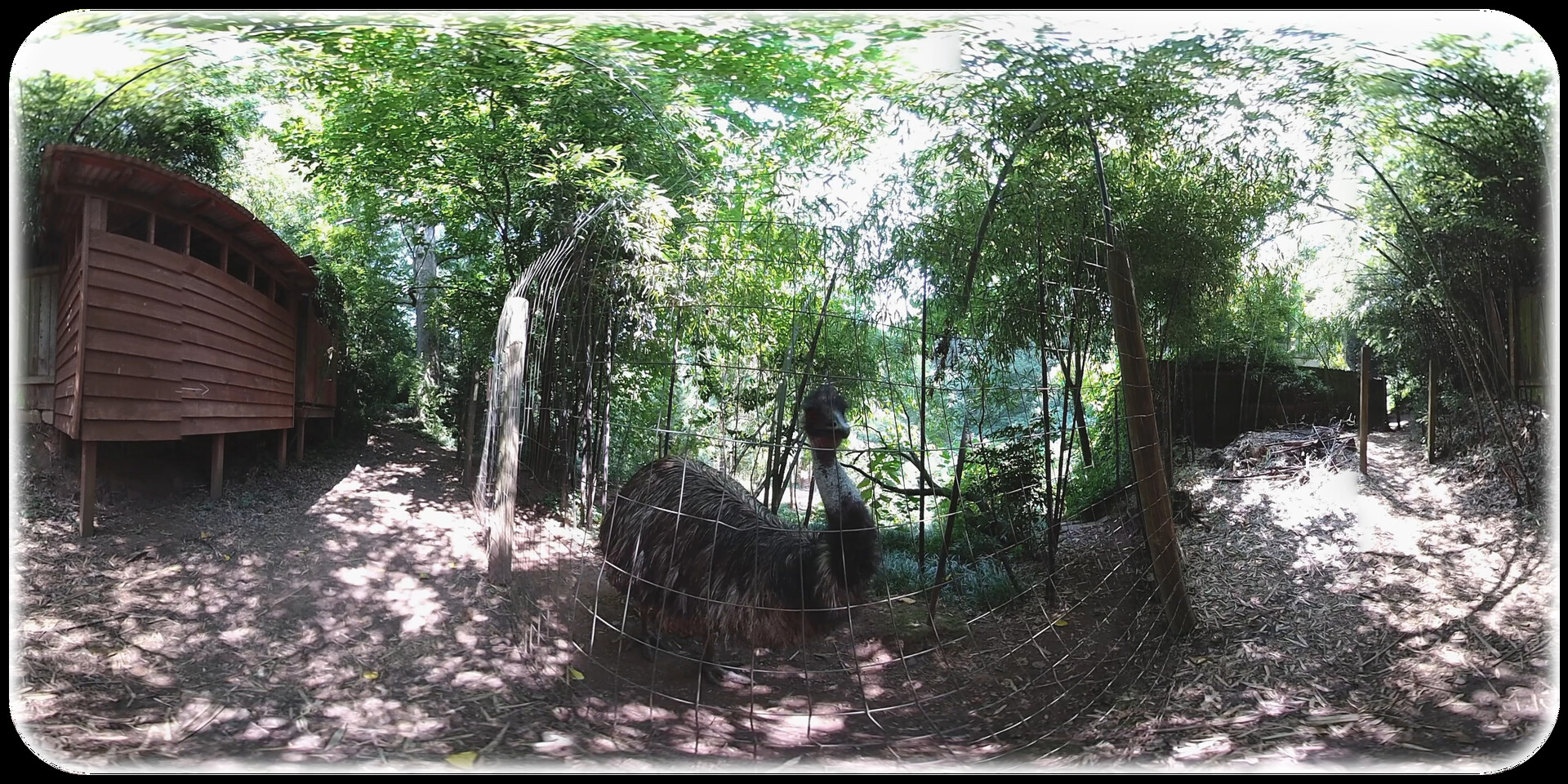 Exhale XR - Wildlife on Steam